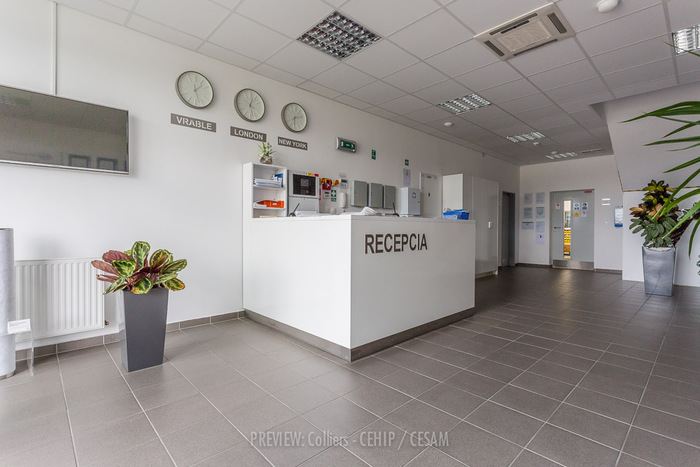 We can help you :: Cehip